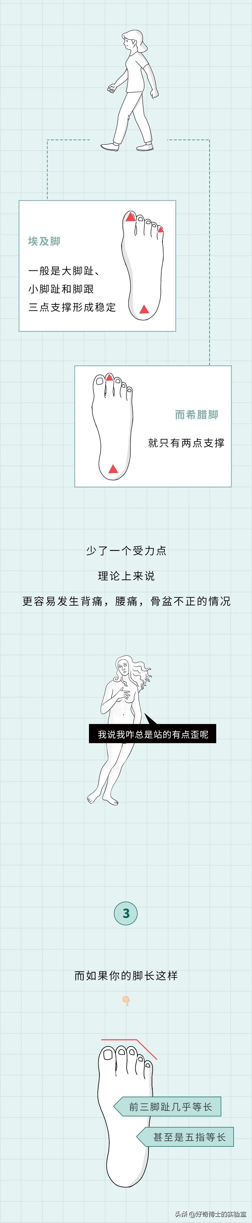 Egyptian feet, Greek feet, Roman feet... Which foot type has the most ...