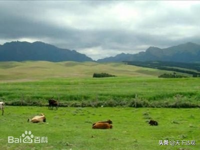 Also known as Dingling, Gaoche, Uyghur, in the middle of the 4th ...