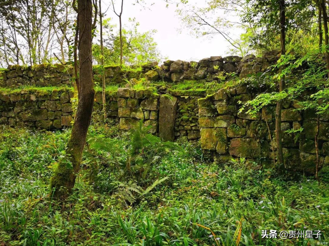 Visit the Yingpan Site of Manaoshan in Suiyang Town - iNEWS