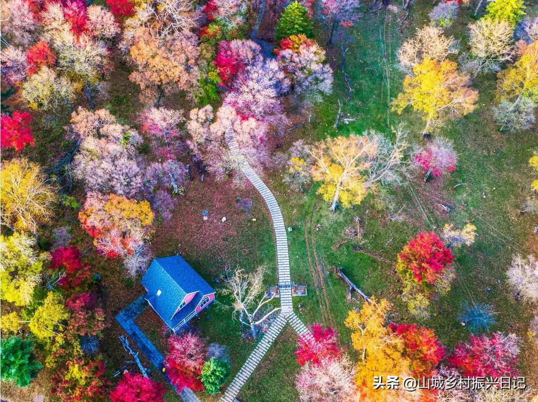 The ancient wood paradise of Huinan, Tonghua, Sifang Dingzi Mountain ...