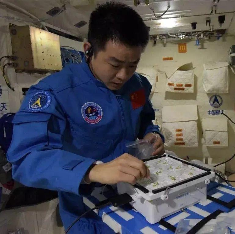 Tiangong Space Station can not only "eat chicken", but also more than ...