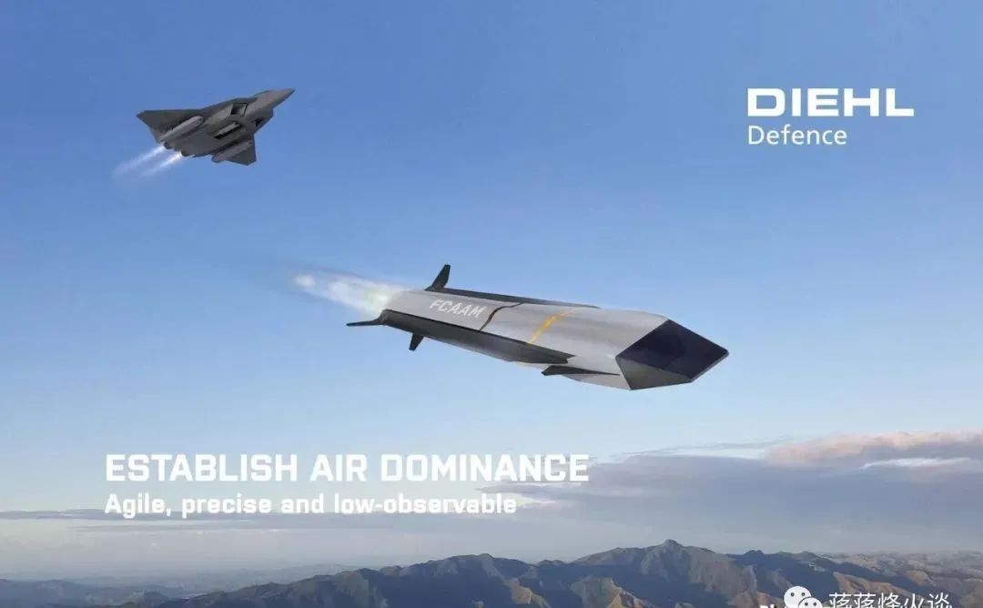 Really. Hit people with a ruler, the German Diehl Defense Group ...