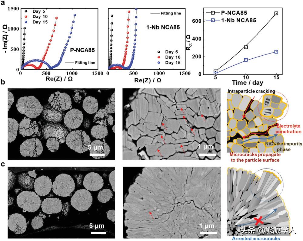AEM: Nb doping regulates nickel-rich layered cathode microstructure - iNEWS
