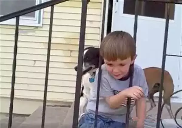 The foreign boy's head was stuck on the railing, and the way his ...