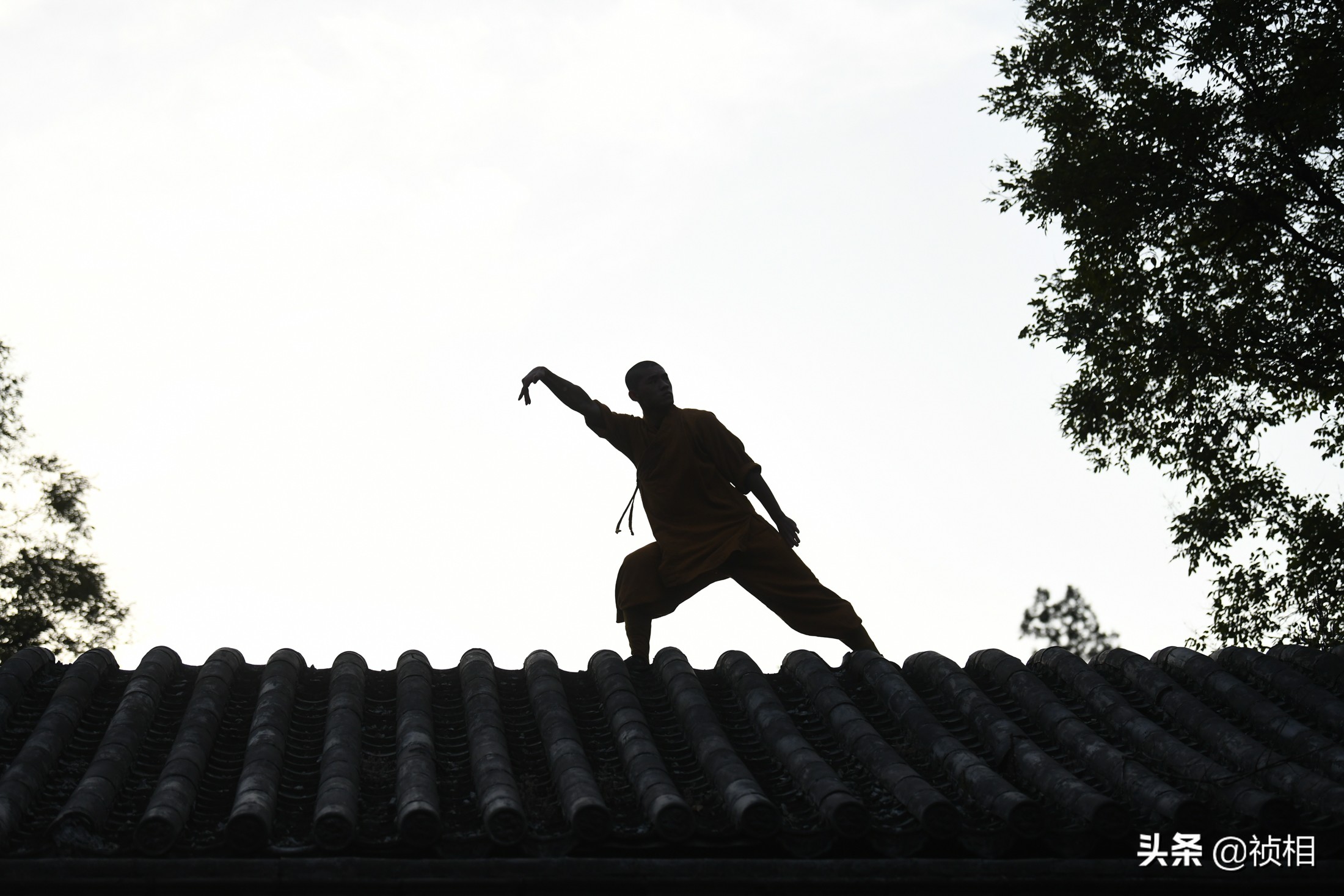 Shaolin monk practicing martial arts under the golden ginkgo tree ...