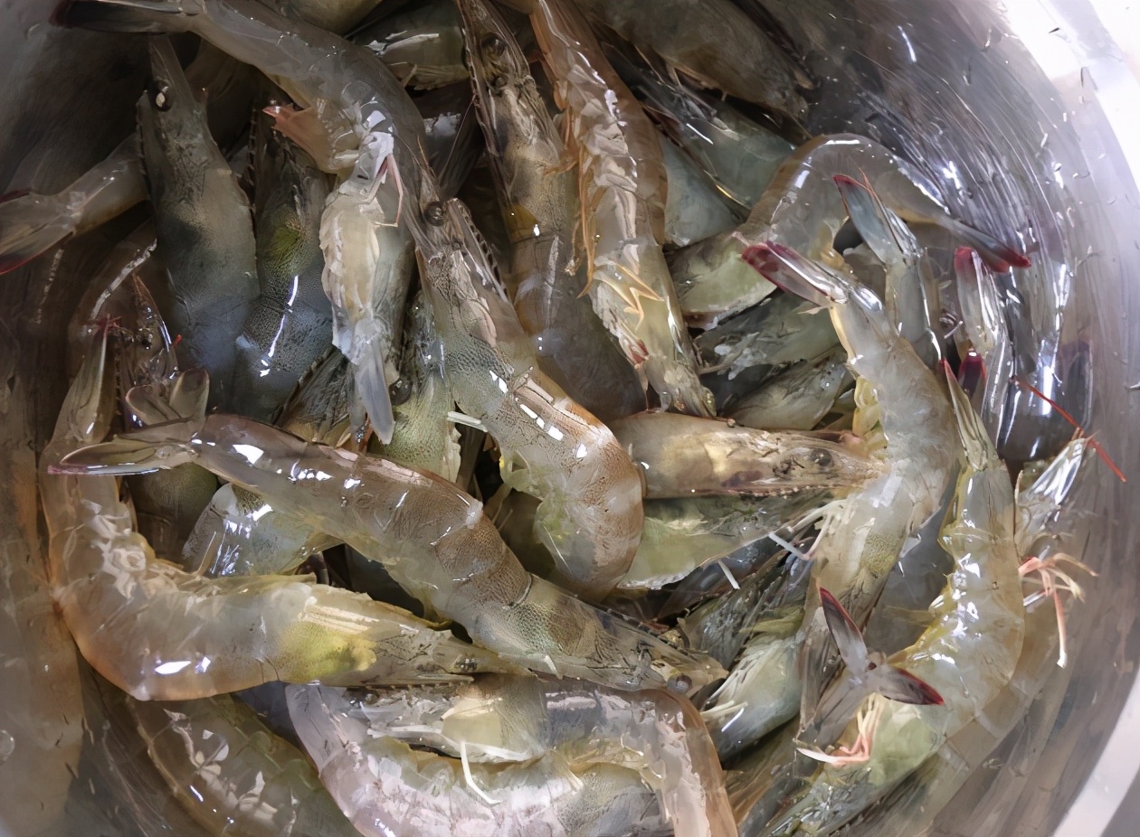When cooking prawns, what kind of water is used is the key!Keep 3 ...