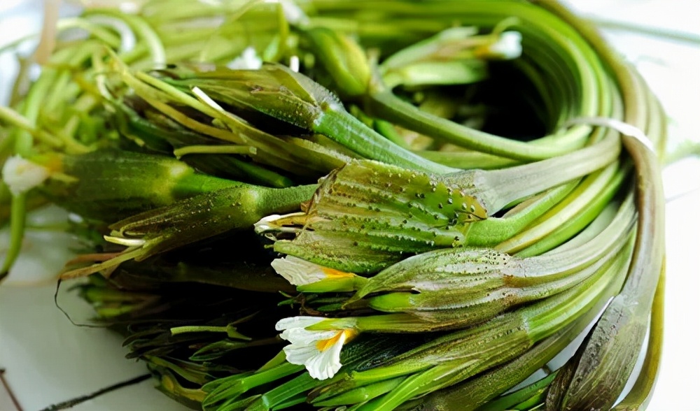 How wild is the vegetable market in Yunnan?You have never seen the ...