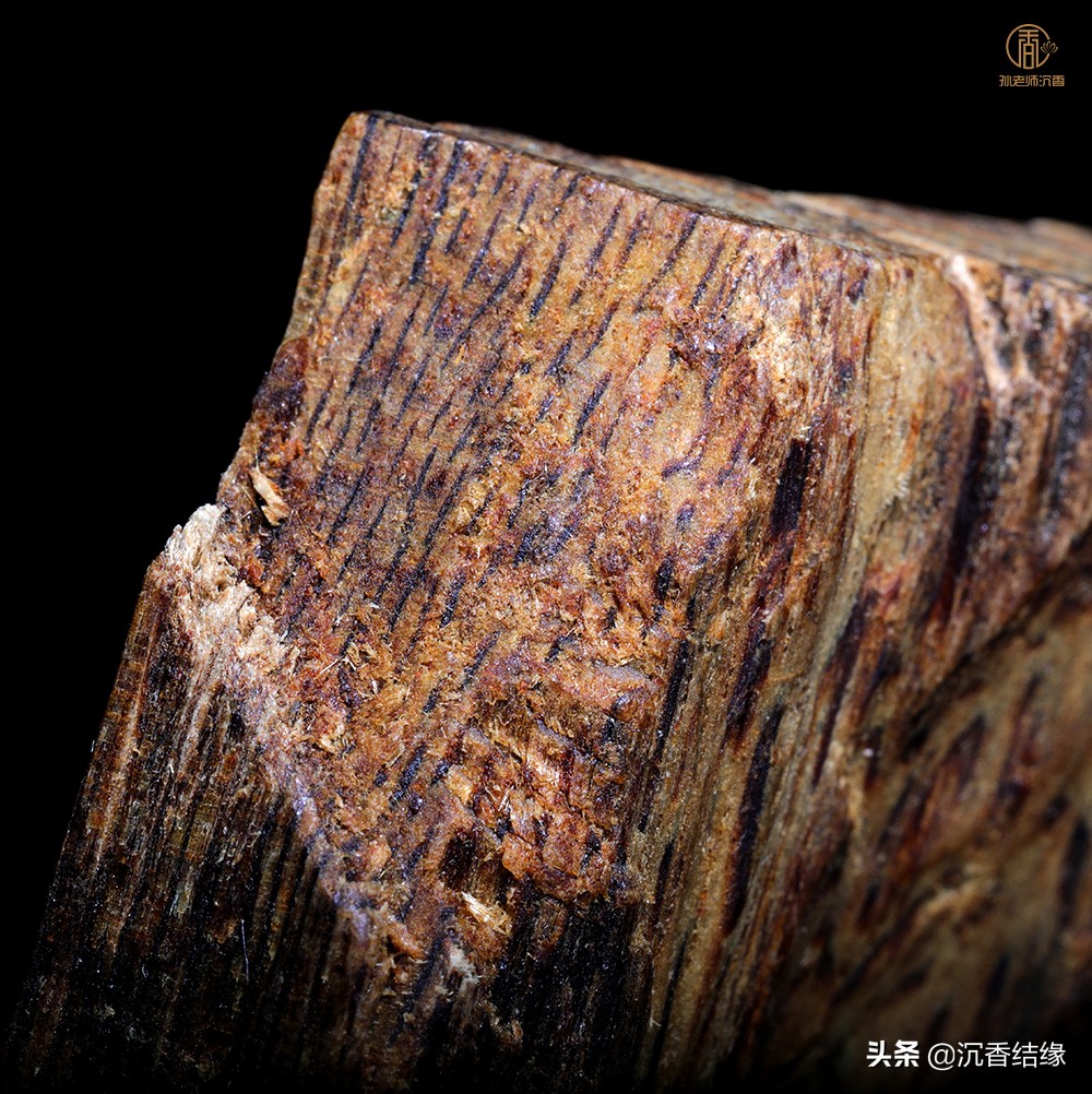 Four tips for collection of Qinan Agarwood - iNEWS