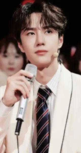 What are the aspects of Wang Bo's excellence? - iNEWS