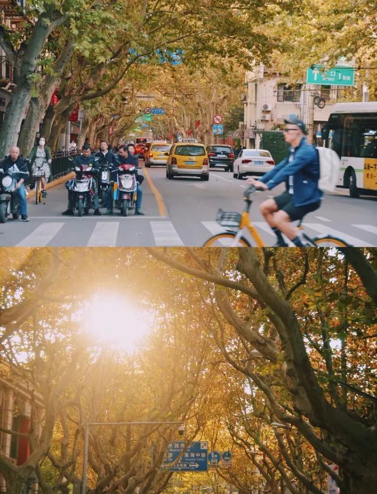 The autumn of Shanghainese is so enviable for the people of Shanghai ...