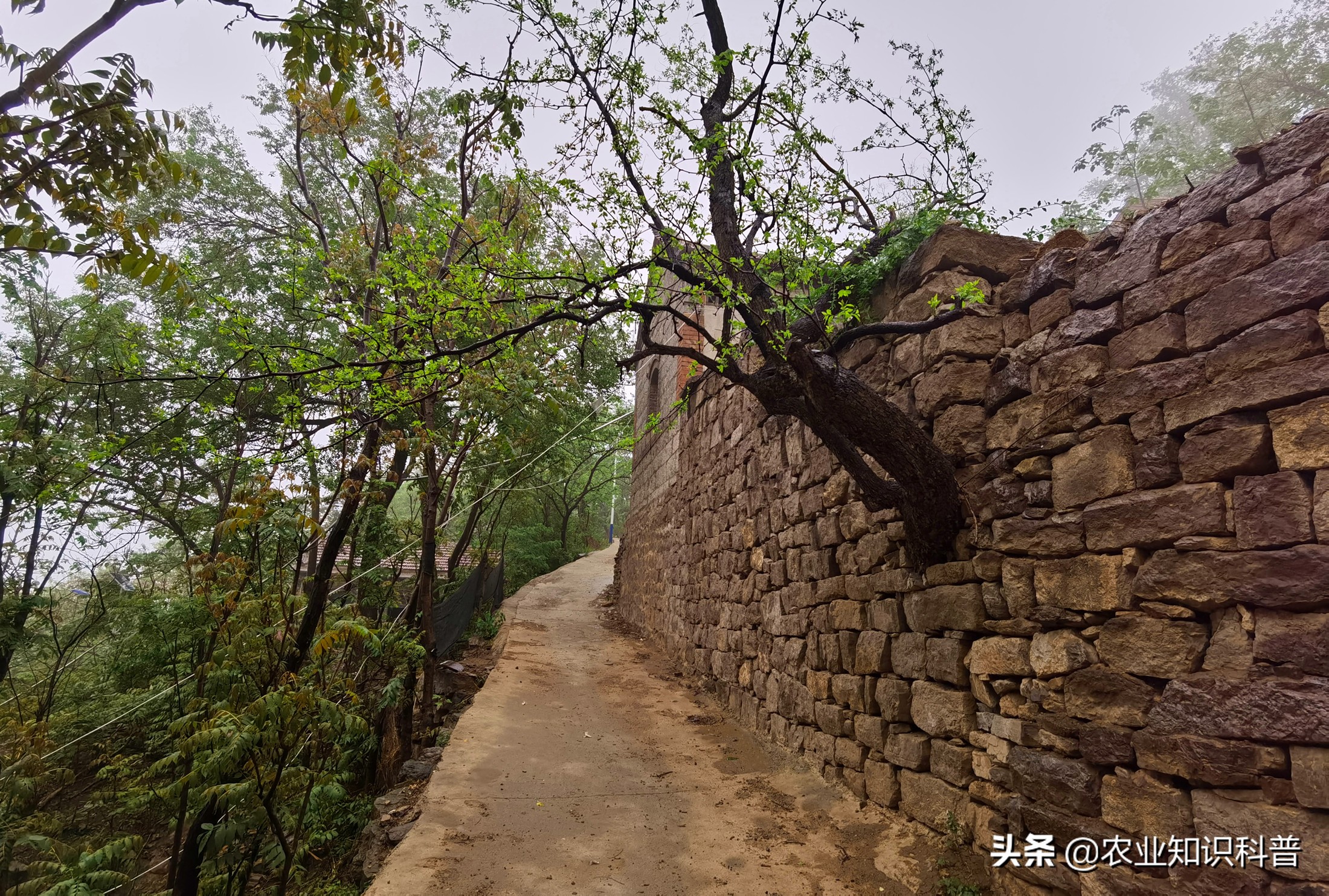 Chinese Village: Beishansi Village in the deep mountains of Zibo ...