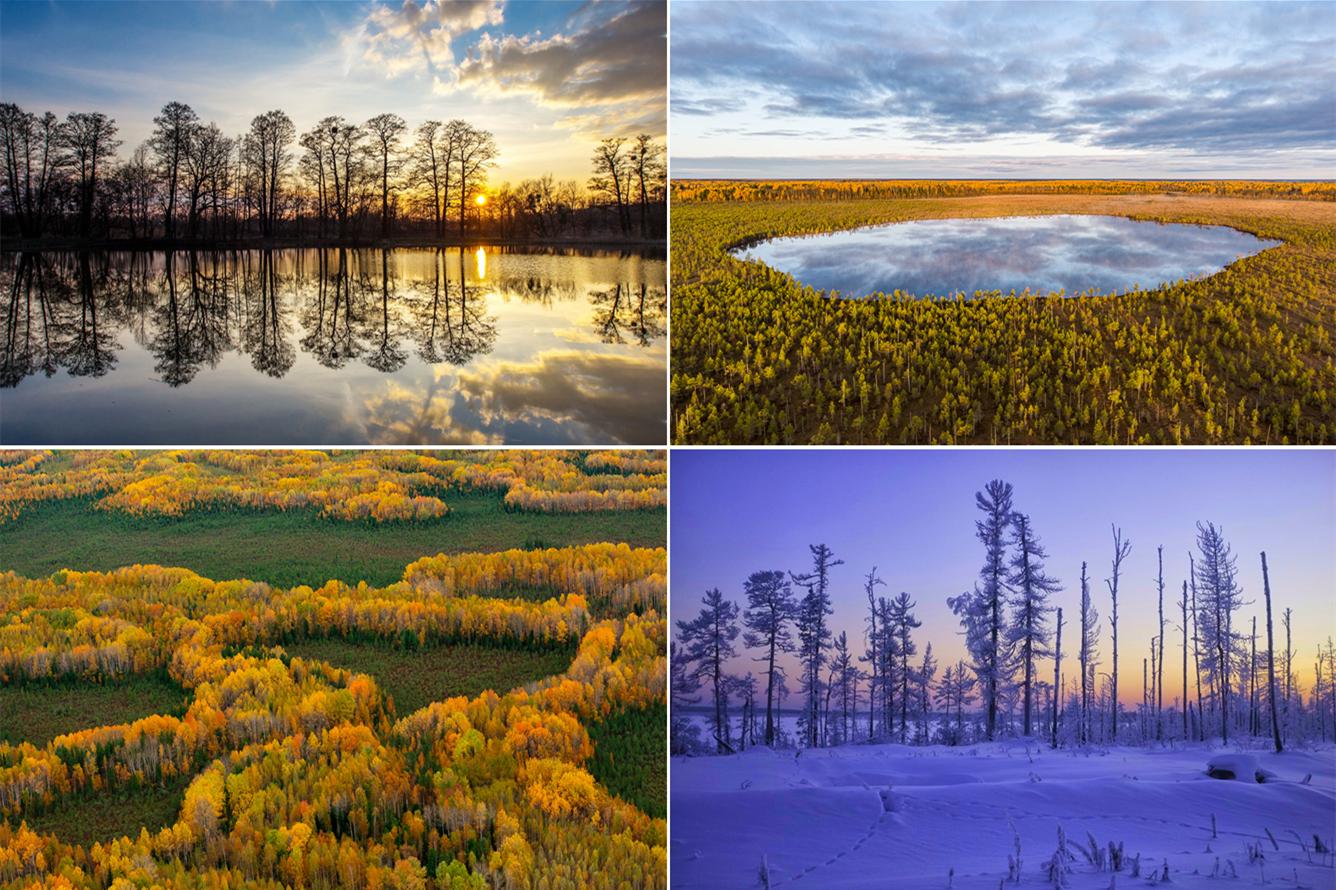 Russia's largest swamp, it turns out that there is such a beautiful ...