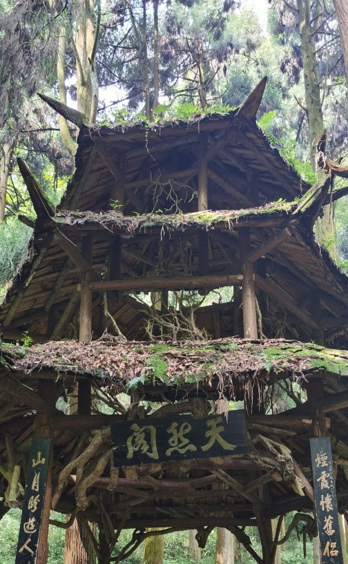 Slowly tour the Tianshi Cave of Mount Qingcheng - iNEWS