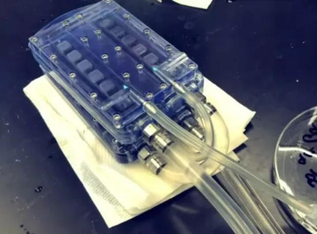 What is the research progress of implantable artificial kidney? - iNEWS