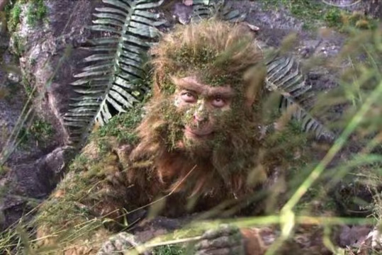 How did Monkey King solve the problem of peeing after being crushed ...