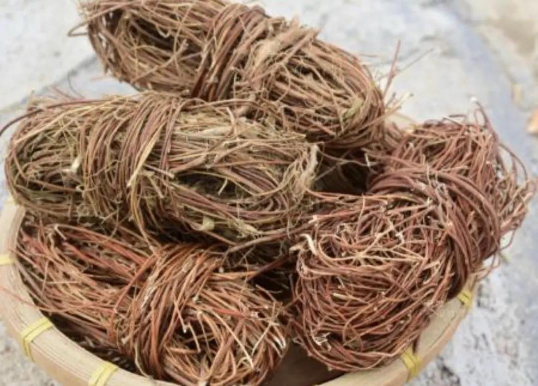 The chicken bone grass in the wasteland is a Chinese medicinal material ...