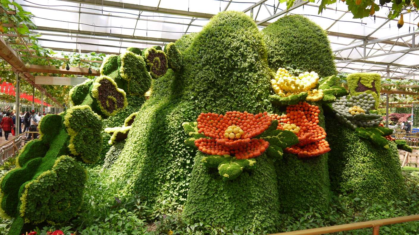 Visit to Exhibition Hall 8 of Shouguang Vegetable Expo (2) - iNEWS