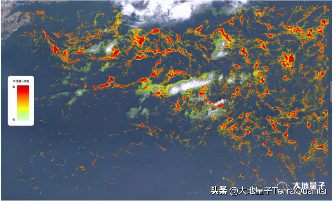 Water environment disasters happen frequently, how to stop losses in ...