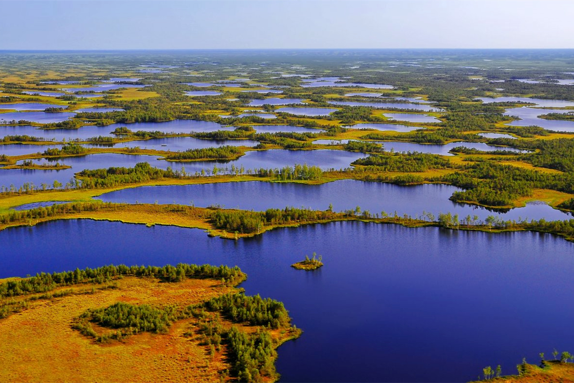 Russia's largest swamp, it turns out that there is such a beautiful ...