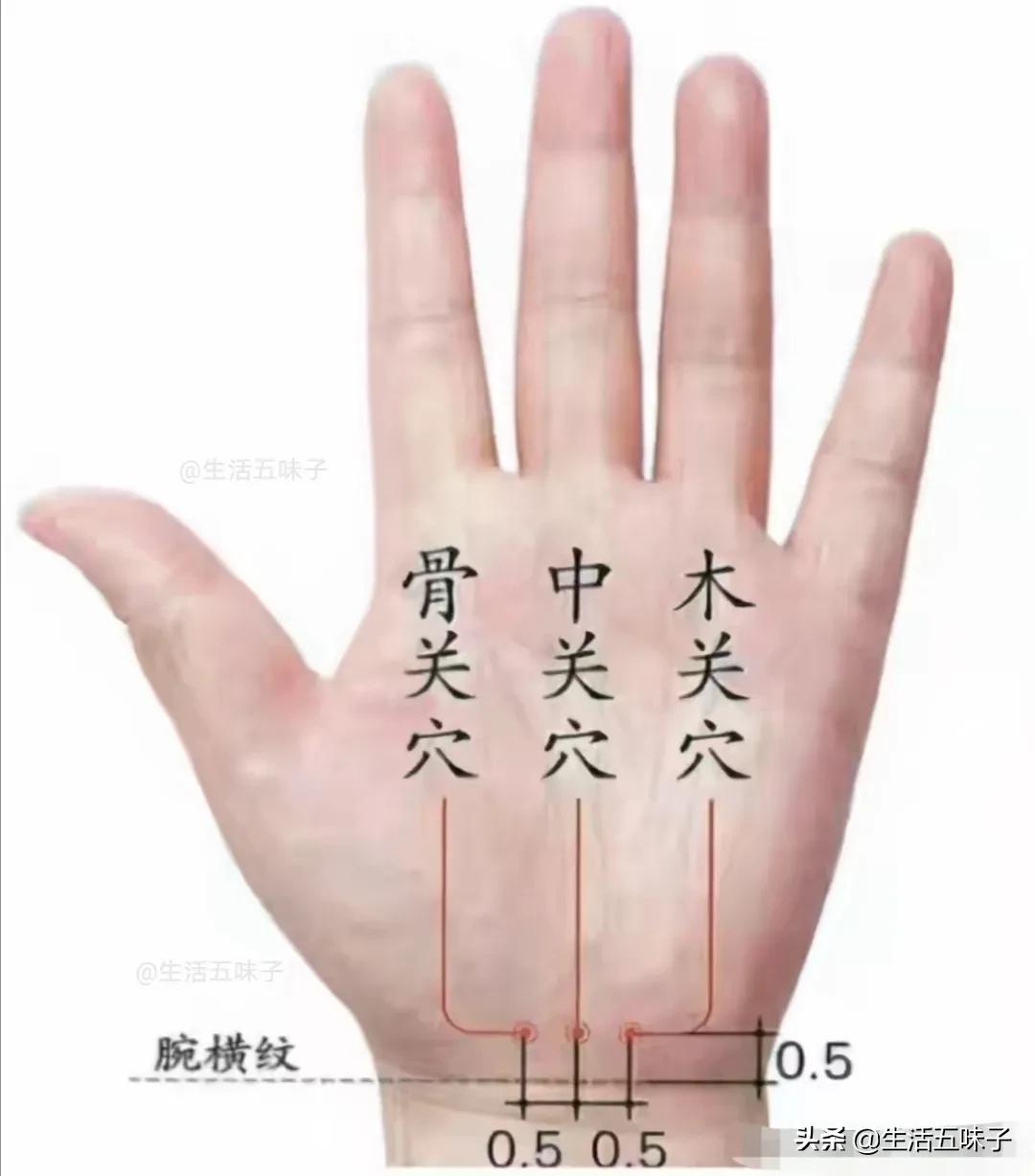 The Dong's unique points of the human body-Guguan, Zhongguan, and ...
