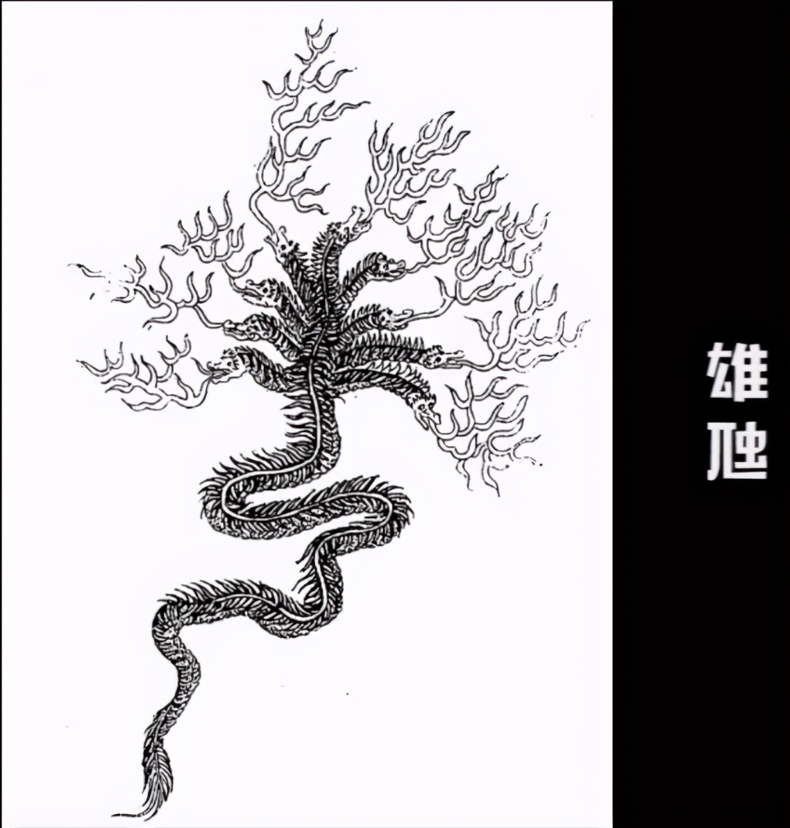 Monster: Nine-headed Willow - iNEWS