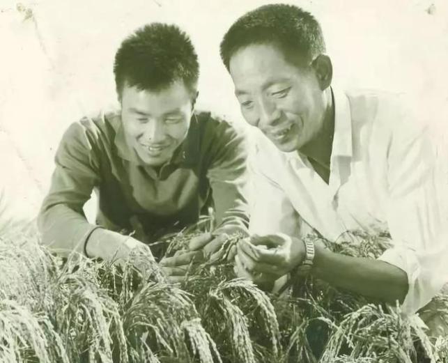 Neng Wen Neng Wu Deng Zhe: 26-year-old married 34-year-old Yuan ...