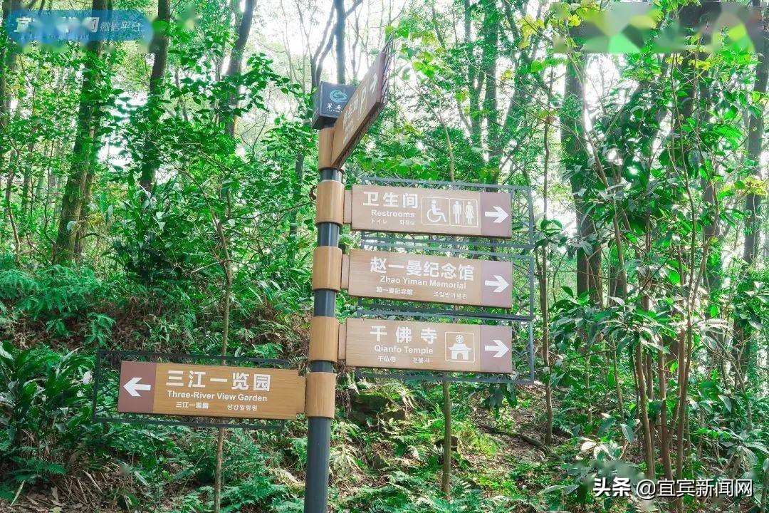 How beautiful is Cuiping Mountain in Yibin?You'll know when you come ...