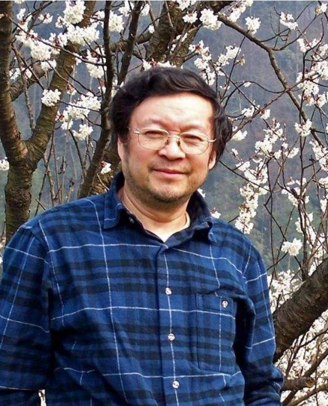 Lin Mu talks about the ecology of fine arts in Sichuan and Chongqing ...