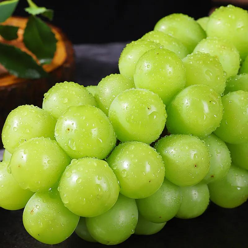 Sunshine rose grapes, the rose is fragrant, sweet but not greasy, you ...