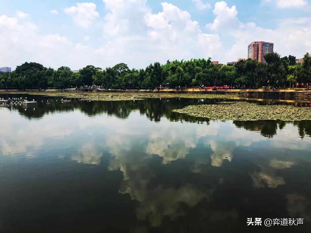 Fujitsu Cup "Jigong" and "Stone Buddha" first fight Zhou Heyang's half ...