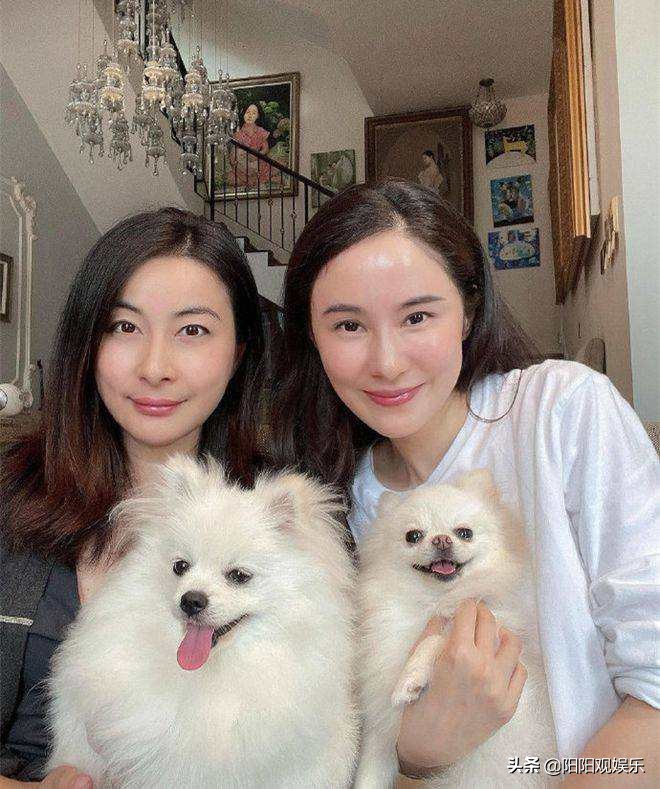 Guo Jingjing and He Chaoqiong get together, her father-in-law Huo ...