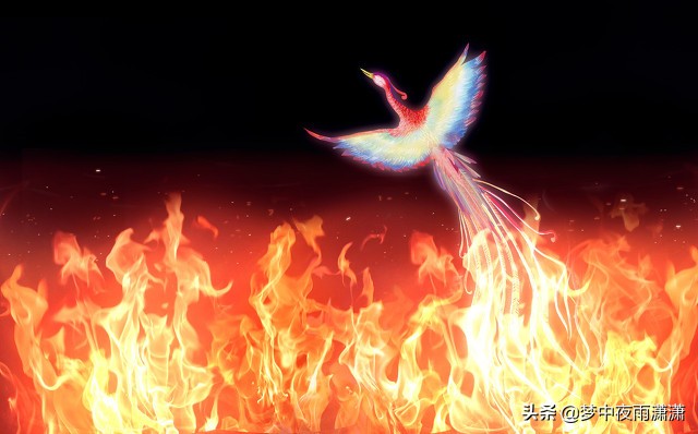 Phoenix on Fire, Scorpio - iNEWS