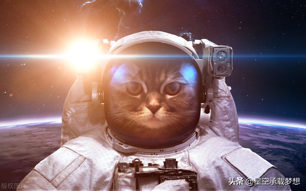 What is the meaning of human birth and existence?Experts' explanations ...