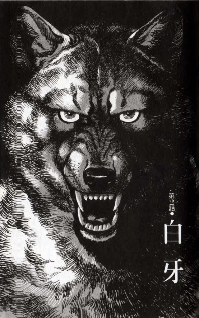 Niche comics "The Dog of God": A dog with a nuclear bomb hazard factor ...