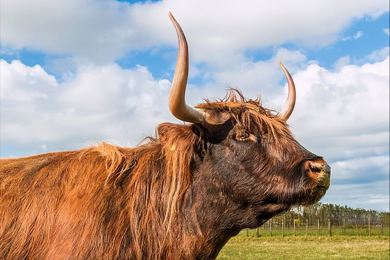 The inconspicuous "three things" in rural areas are treasures in the ...