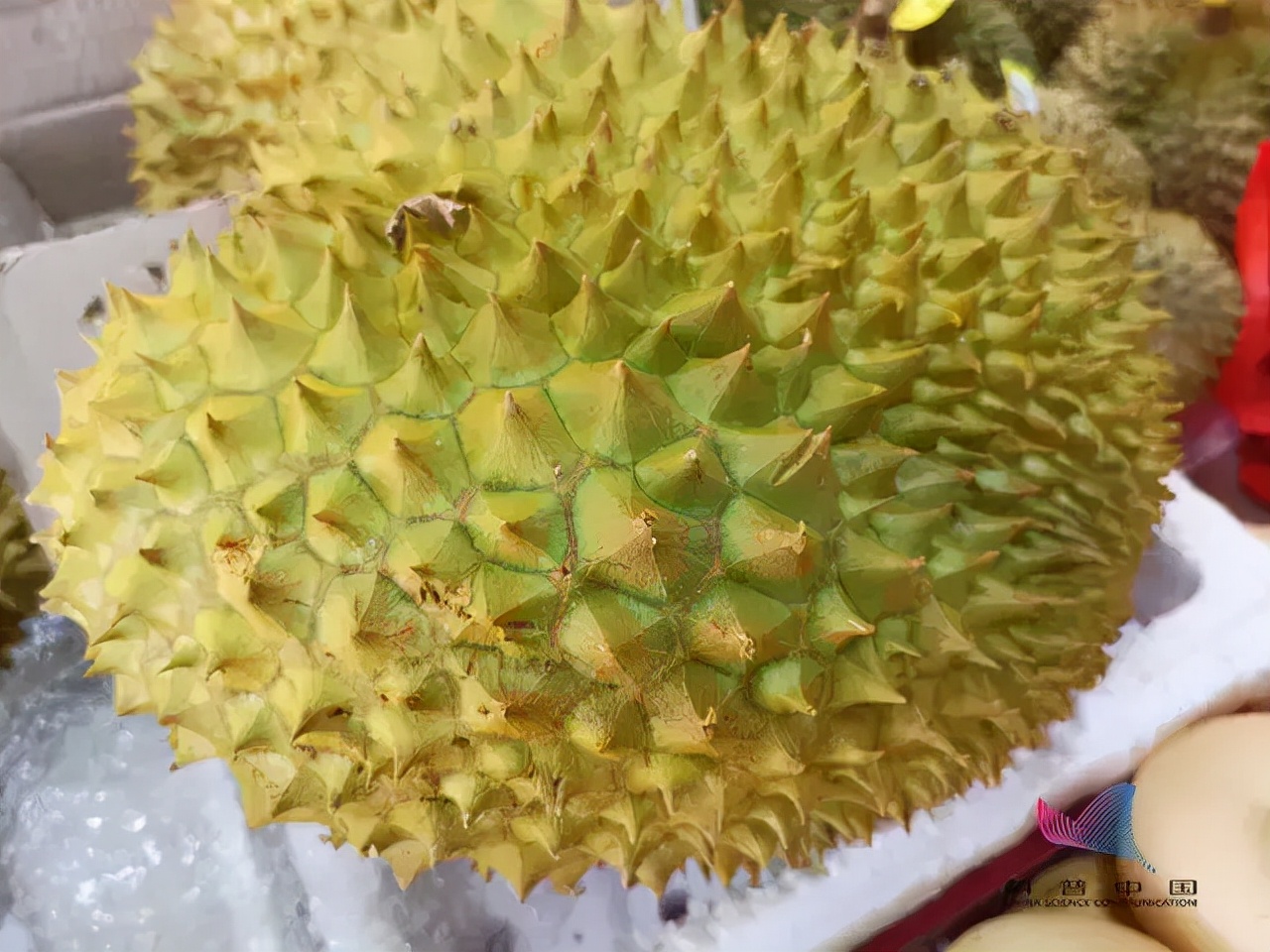 Stinky tofu, snail noodles, durian...Why are these foods so smelly?Many ...