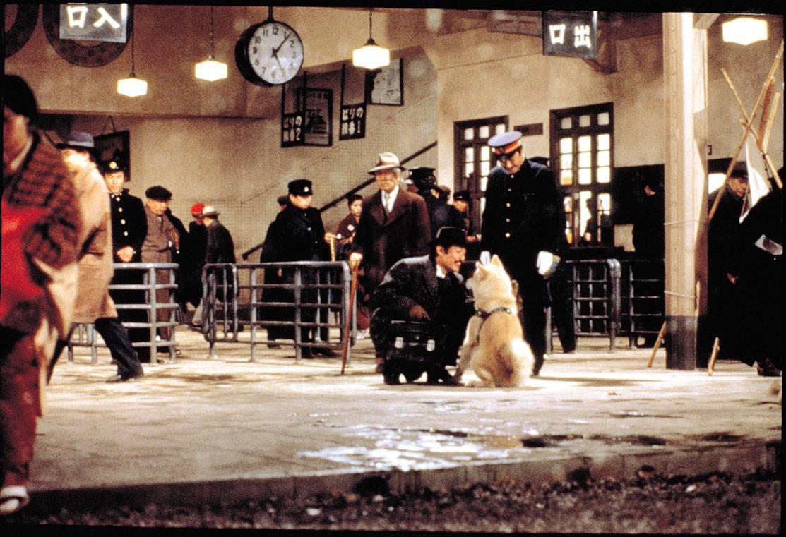 "Movie Review" "The Story of the Hachiko": A dog will only fall in love ...