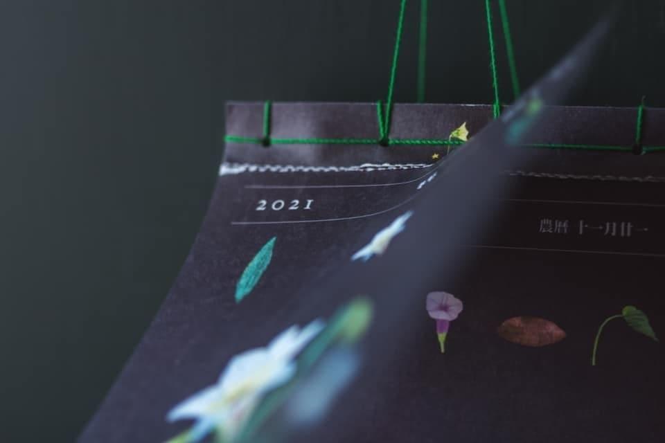 "Jingdong Dog" is fat?2022 hand-painted seed calendar, come and see ...