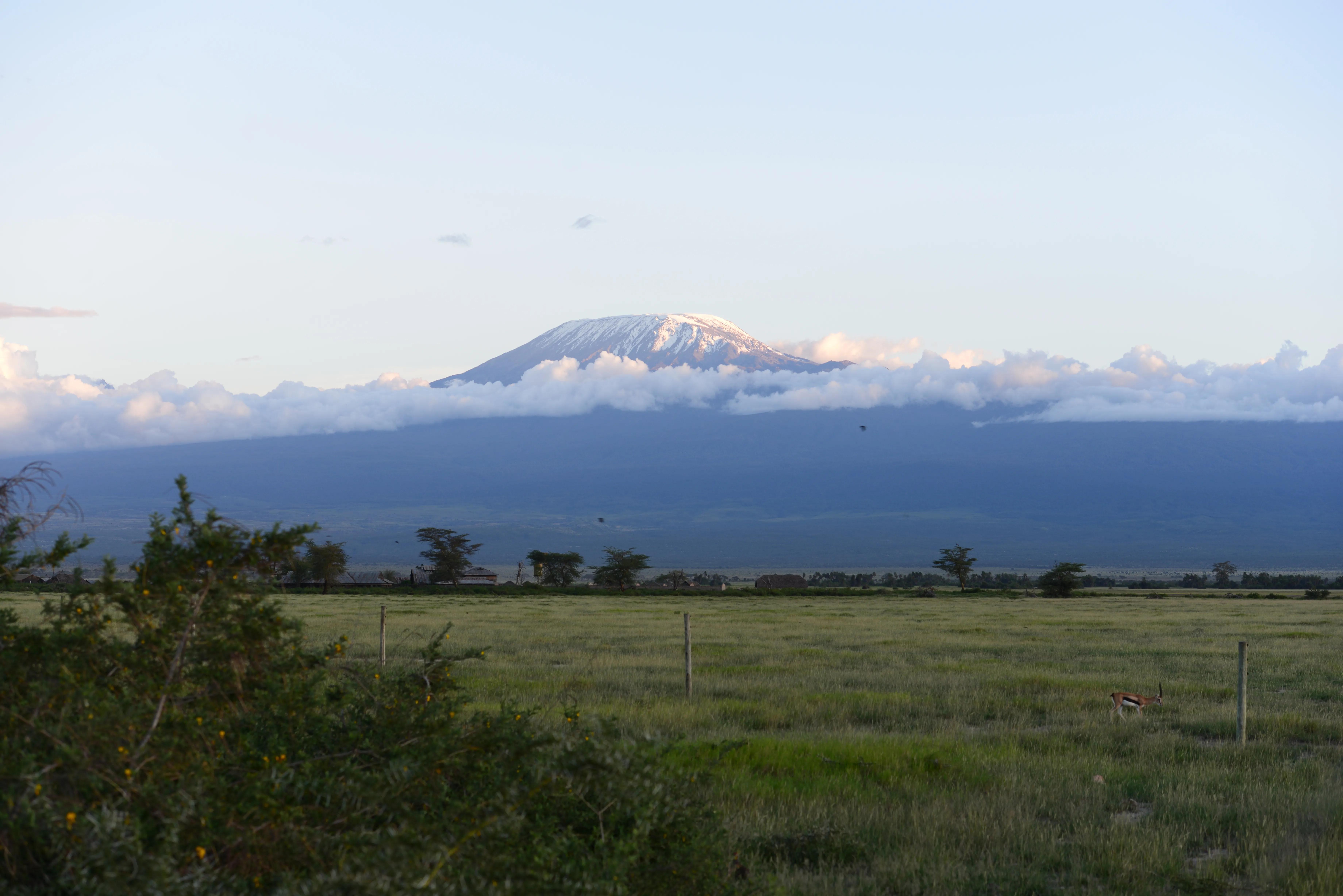 "Like the World "Africa" 25" Tanzania: "Equator Snow Peak" Mount ...