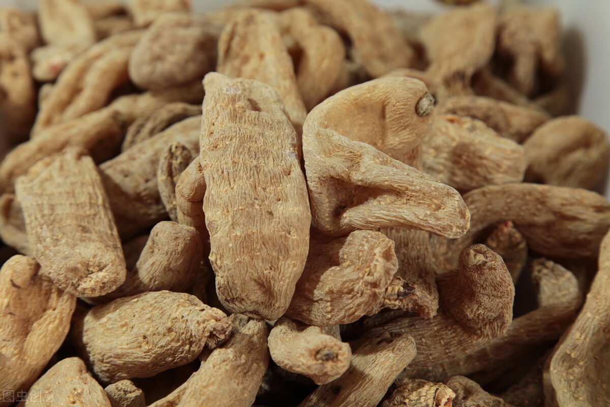 The traditional Chinese medicine Tianma has many magical uses and is ...