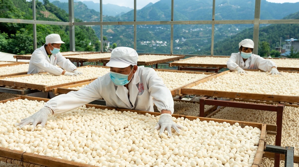 Liquor Encyclopedia: What is the classification of Xiaoqu and Xiaoqu ...