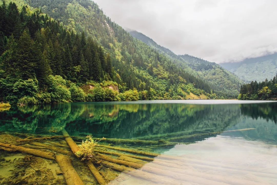 Chengdu unblocking ceremony feels perfect!The golden autumn is ...