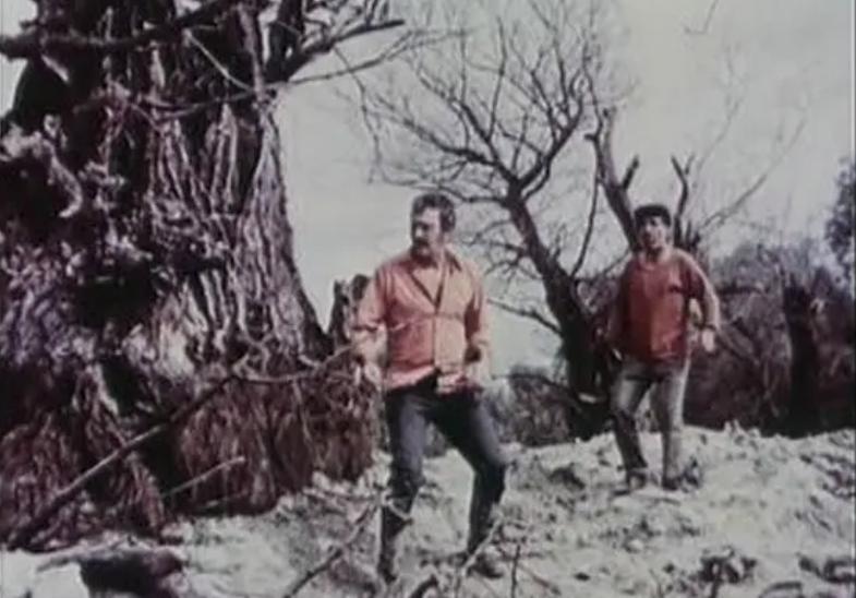 The old Romanian movie "The Adventures of Babushka", a thrilling ...