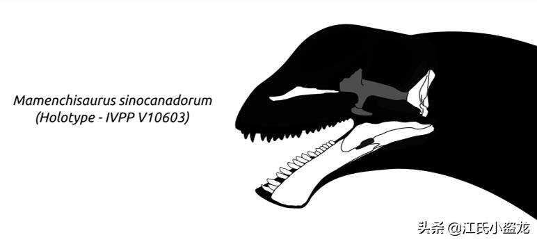 China's largest dinosaur comes from Xinjiang - iNEWS