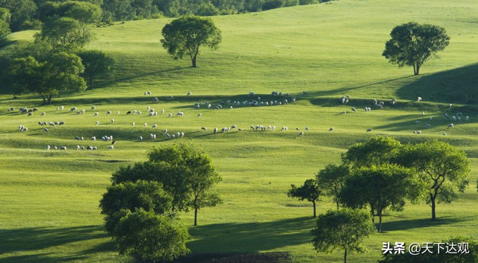 Also known as Dingling, Gaoche, Uyghur, in the middle of the 4th ...