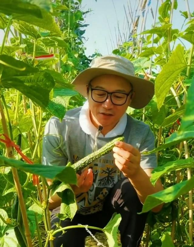 Gao Hu went home to farm!The greenhouse covers an area of nearly 1,000 ...