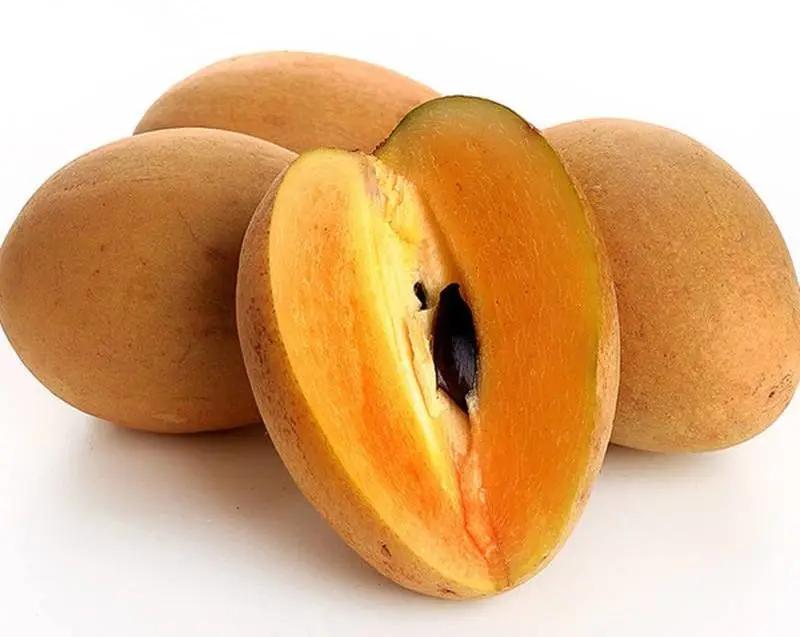 "The First of Fruits and Vegetables"-Ren Xin Guo - iNEWS