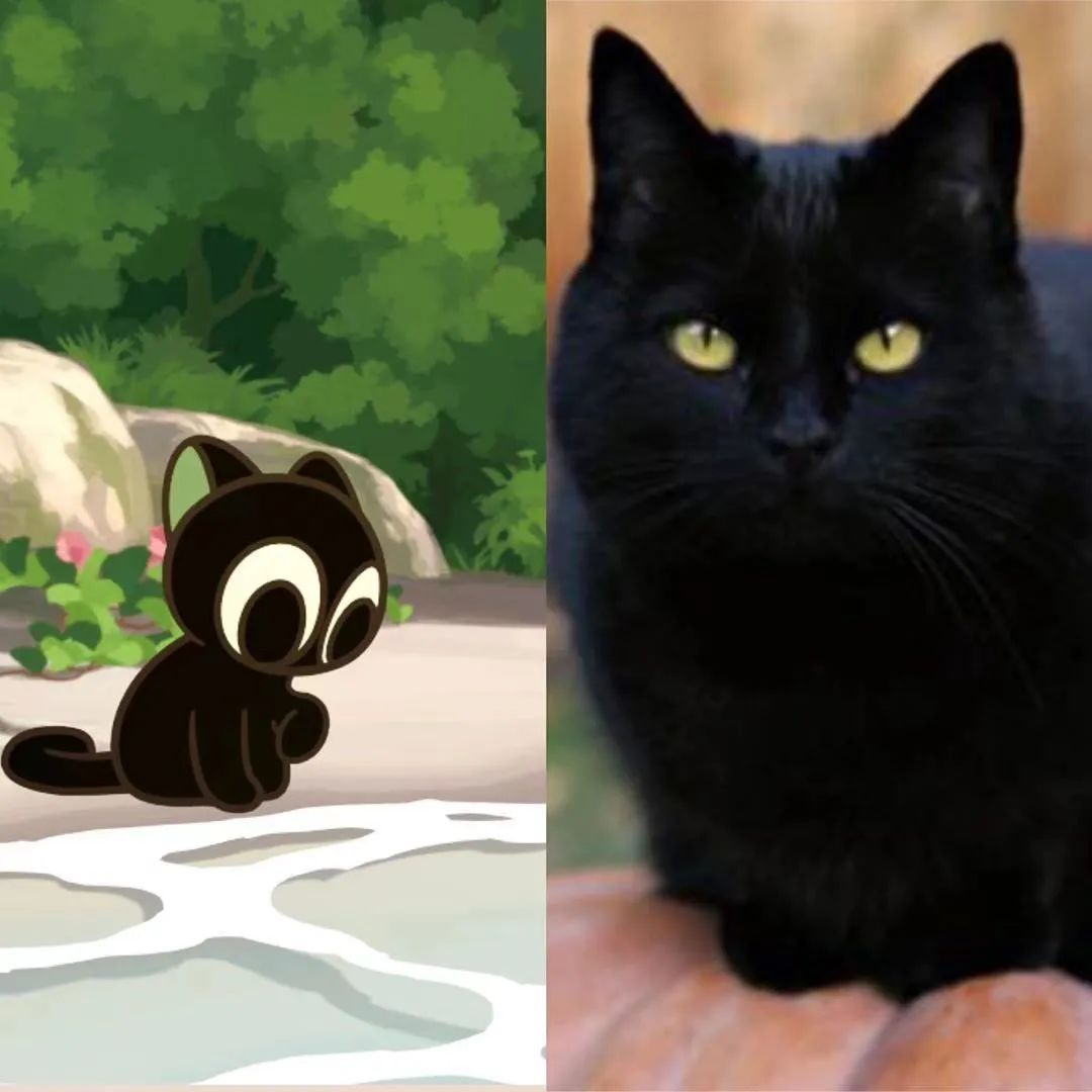 Count the cats in the classic anime! Have you guessed their varieties ...