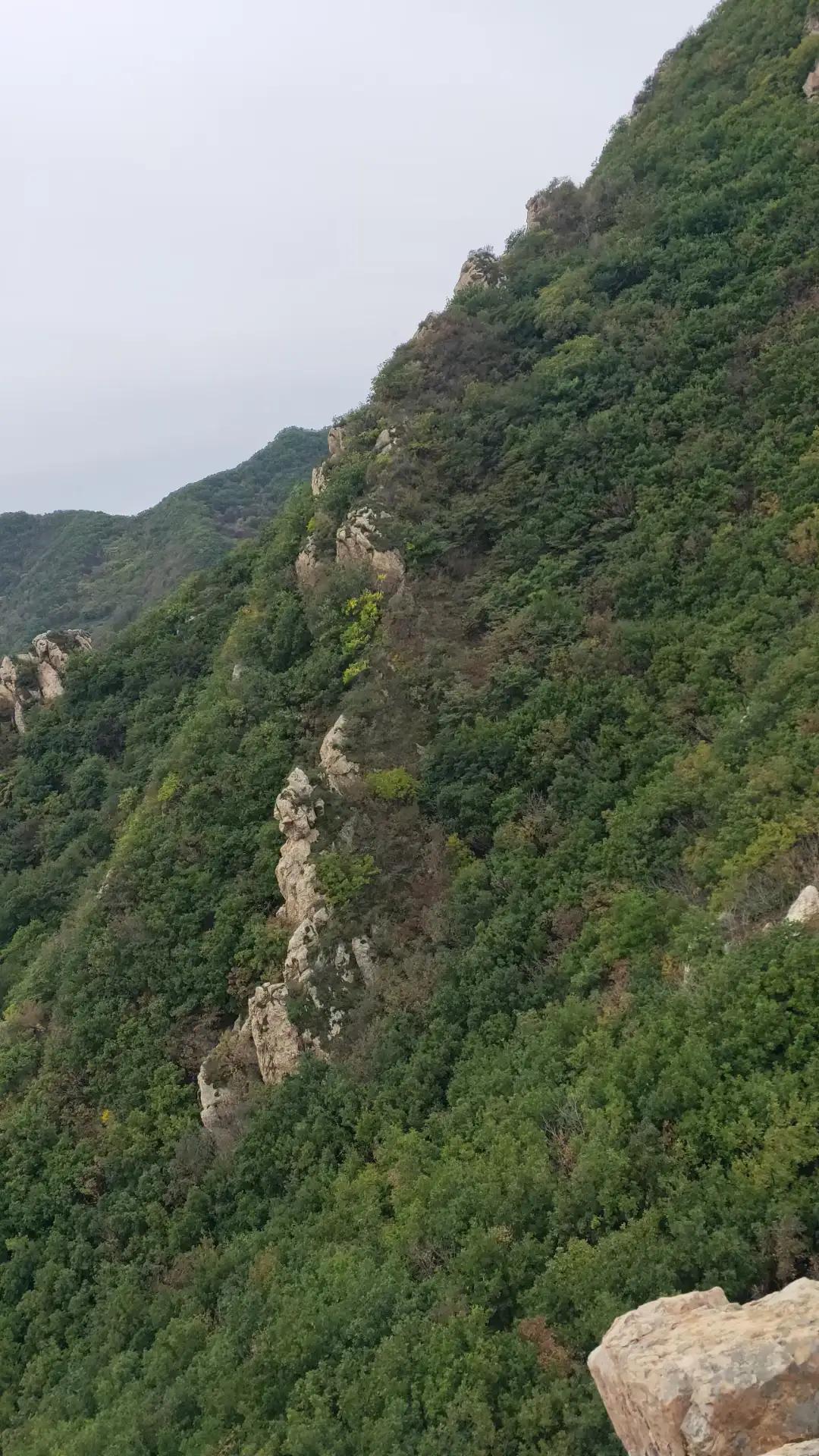 "Yehe History" Yehe King City (Liu Xingye) - iNEWS