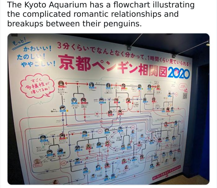 43 facts about Japan is different from any other country - iNEWS